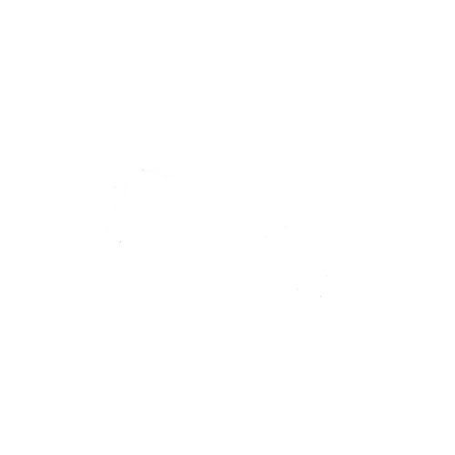 HOME - AIRBOAT TRAINING CENTER OF FLORIDA